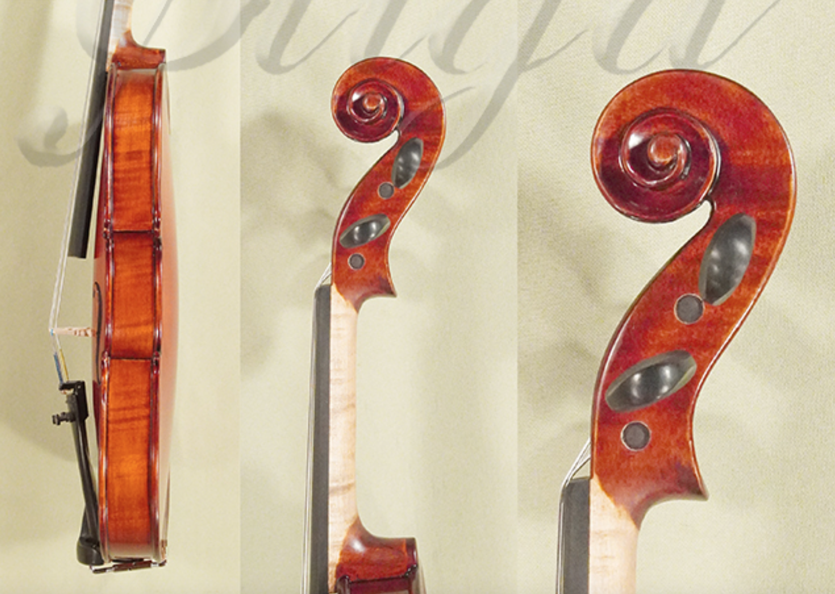 3/4 Gems 2 Student Violin - Code D1428V - Gliga Violins Canada