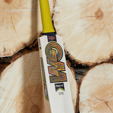 GM Ben Duckett DXM Players Edition Cricket Bat (2026) - AA SPORTS