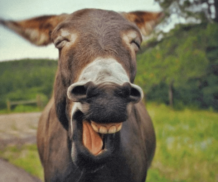 Time to vent a little.... - Sugar Mountain Trading Co.