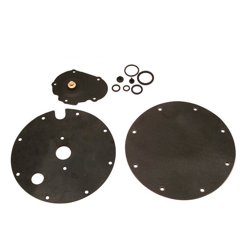 LPG Gasket Reduktor Diaphragm Reducer Repair Kit Valtek Emer Palladio 4550