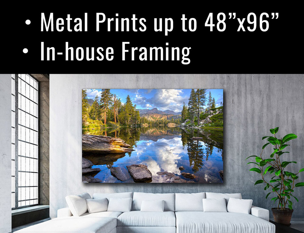 Magna Chrome - The World's Leading Metal Printing Company for Fine Art ...