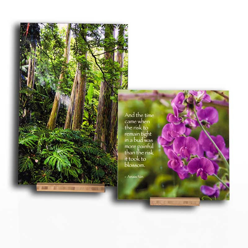Magna Chrome metal prints for stunning displays of your photos.
