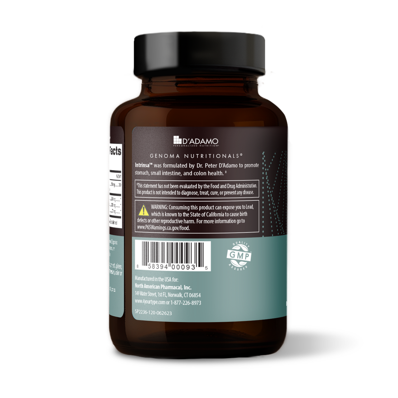 Intrinsa for Colon Health | Eat Right For Your Type