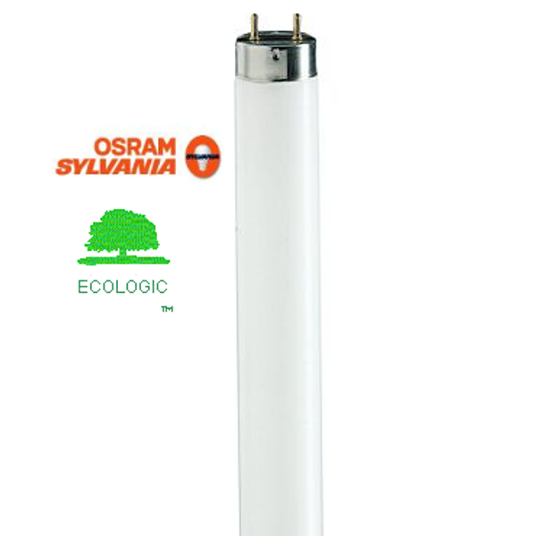 Sylvania 21781 FO32/841/ECO - ADLSupply.com