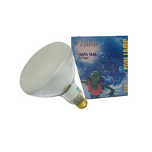 Halco R40 Flood 300W Pool-light 12V #104040 - ADLSupply.com