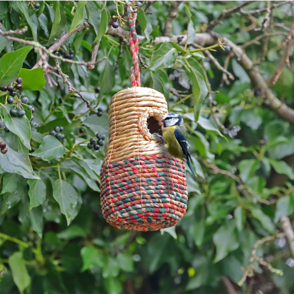 Wildlife World Sari Artisan Wild Bird Nester | Charlies
