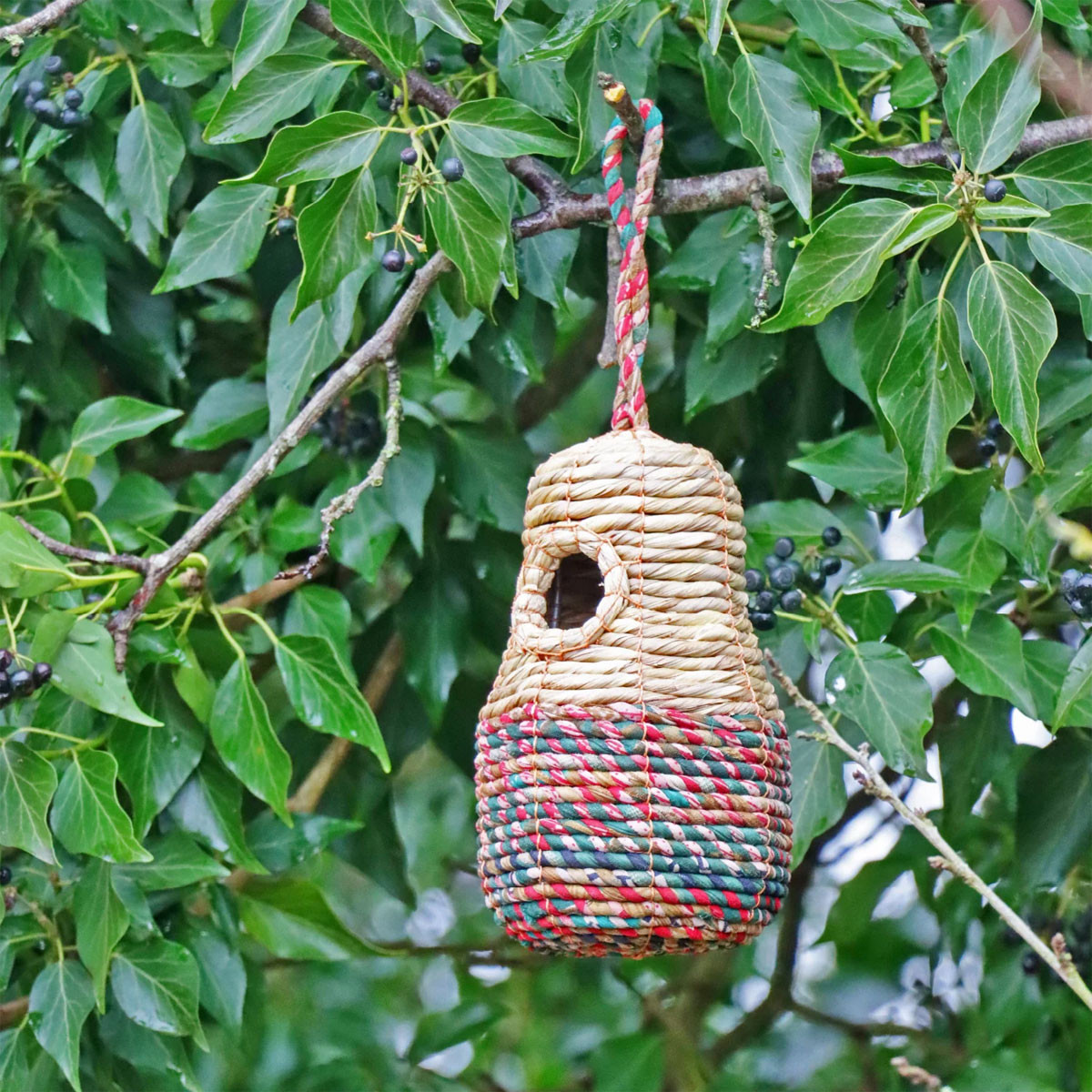 Wildlife World Sari Artisan Wild Bird Nester | Charlies