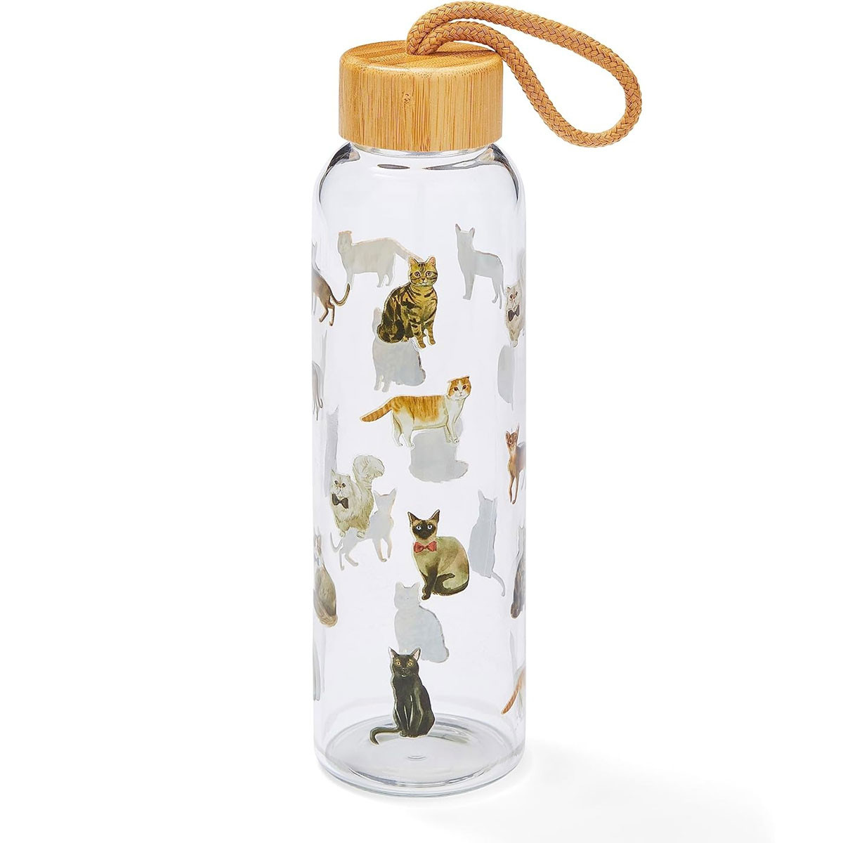 Cooksmart Glass Water Bottle, 500ml - Curious Cats | Charlies