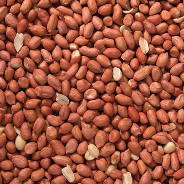 Johnston and Jeff Peanuts for Wild Birds - 12.75kg | Charlies