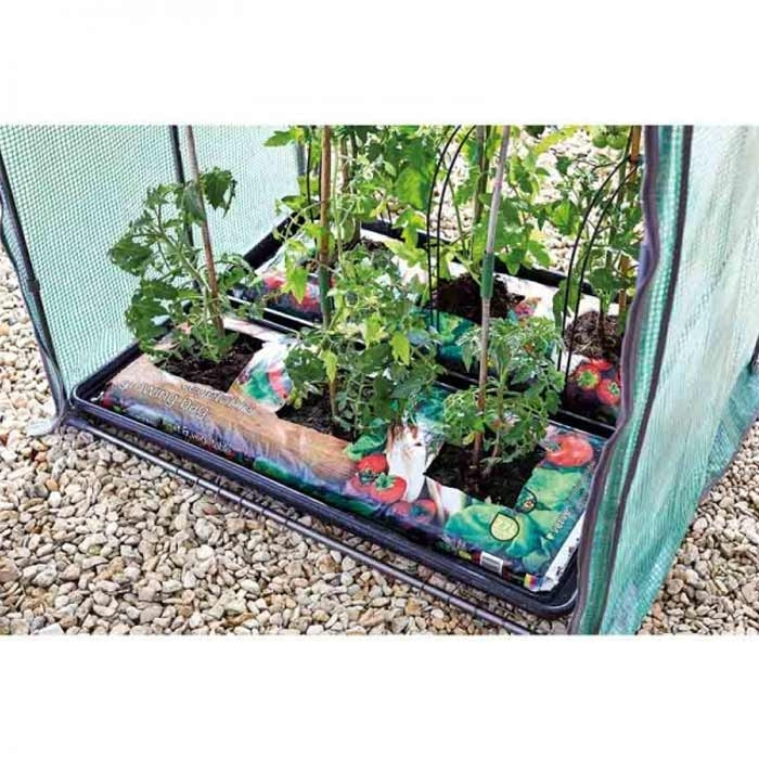 Smart Garden Tomato Gro-Zone Max|Charlies