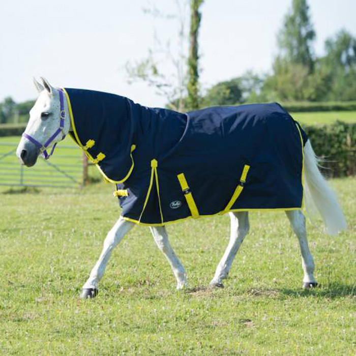 Gallop Trojan 200 Combo Turnout Rug - Navy/Yellow |Equestrian |Charlies