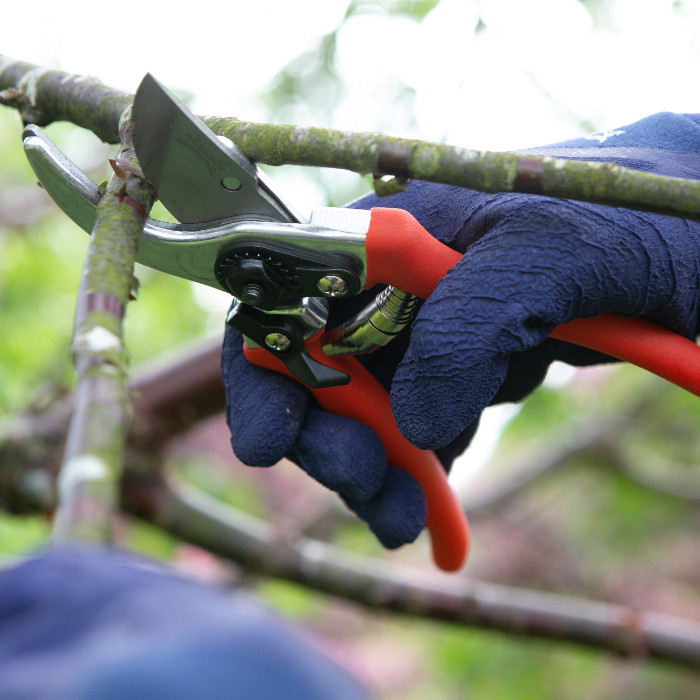 Wilkinson Sword Folding Pruner and Saw Set | Charlies