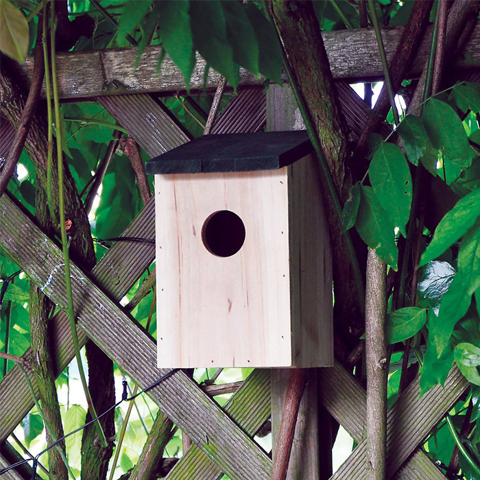 Nature's Market Wooden Wild Bird Nesting Box | Charlies