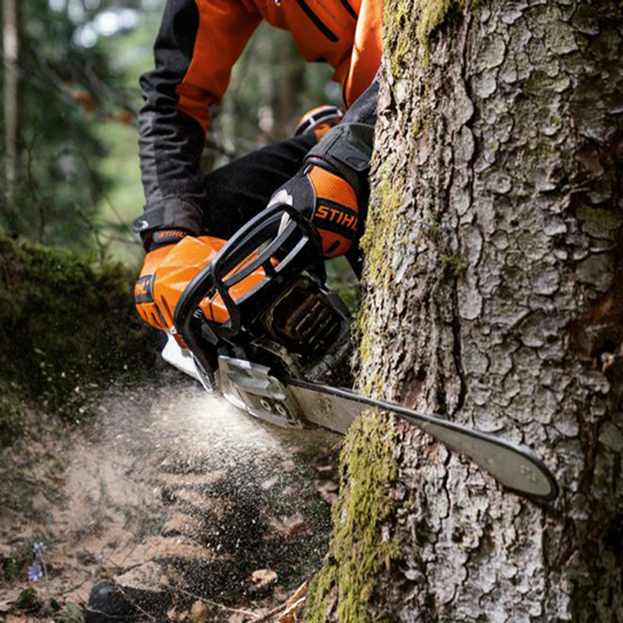 60cc chainsaw stihl store