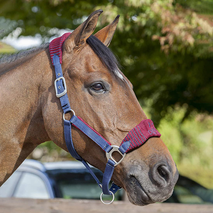 Le Mieux Vogue Fleece Headcollar with Leadrope - Burgundy/Navy | Le ...