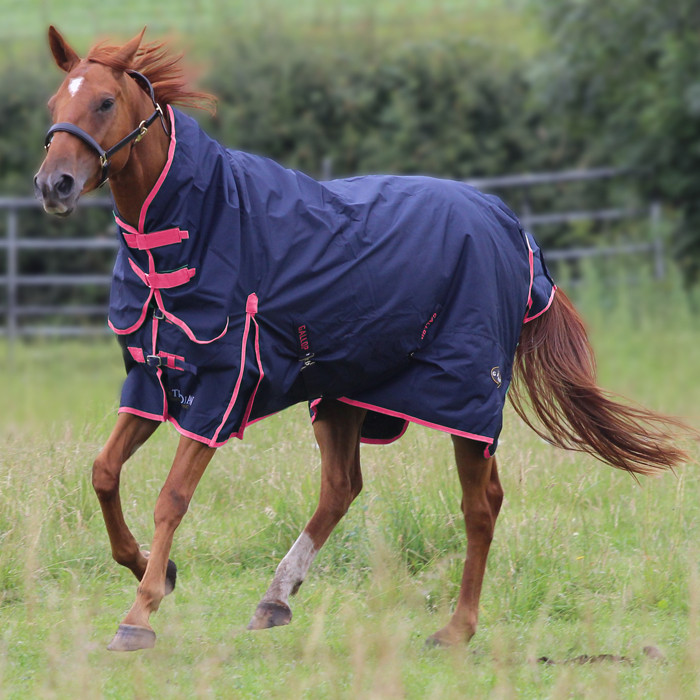 Gallop Trojan 50 Combo Turnout Rug - Navy/Pink | Charlies