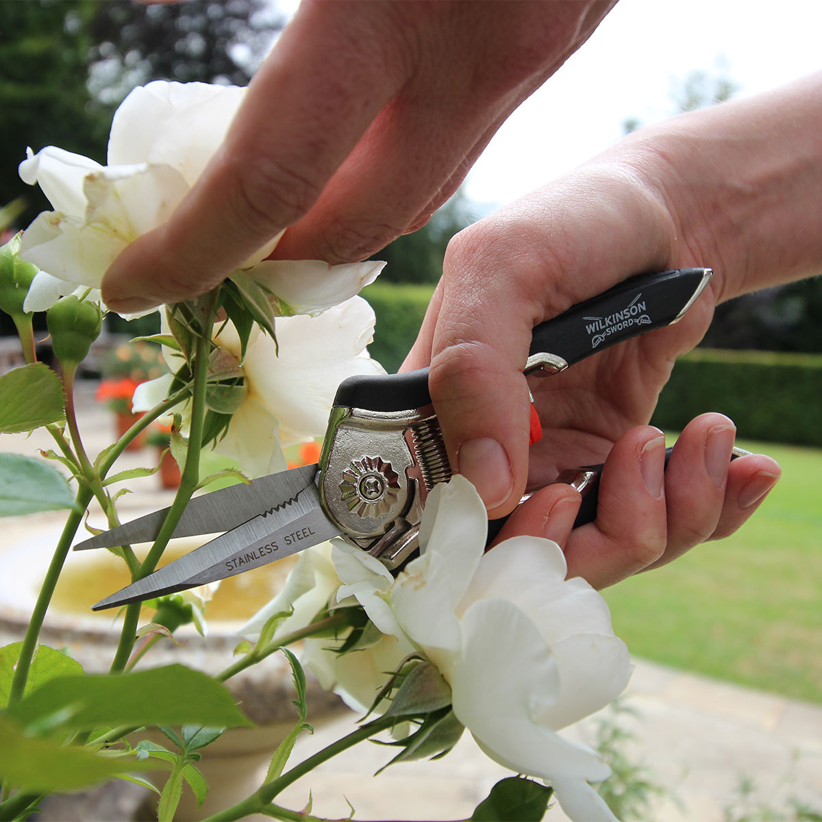 Wilkinson Sword Precision Pruner Twin Pack | Charlies
