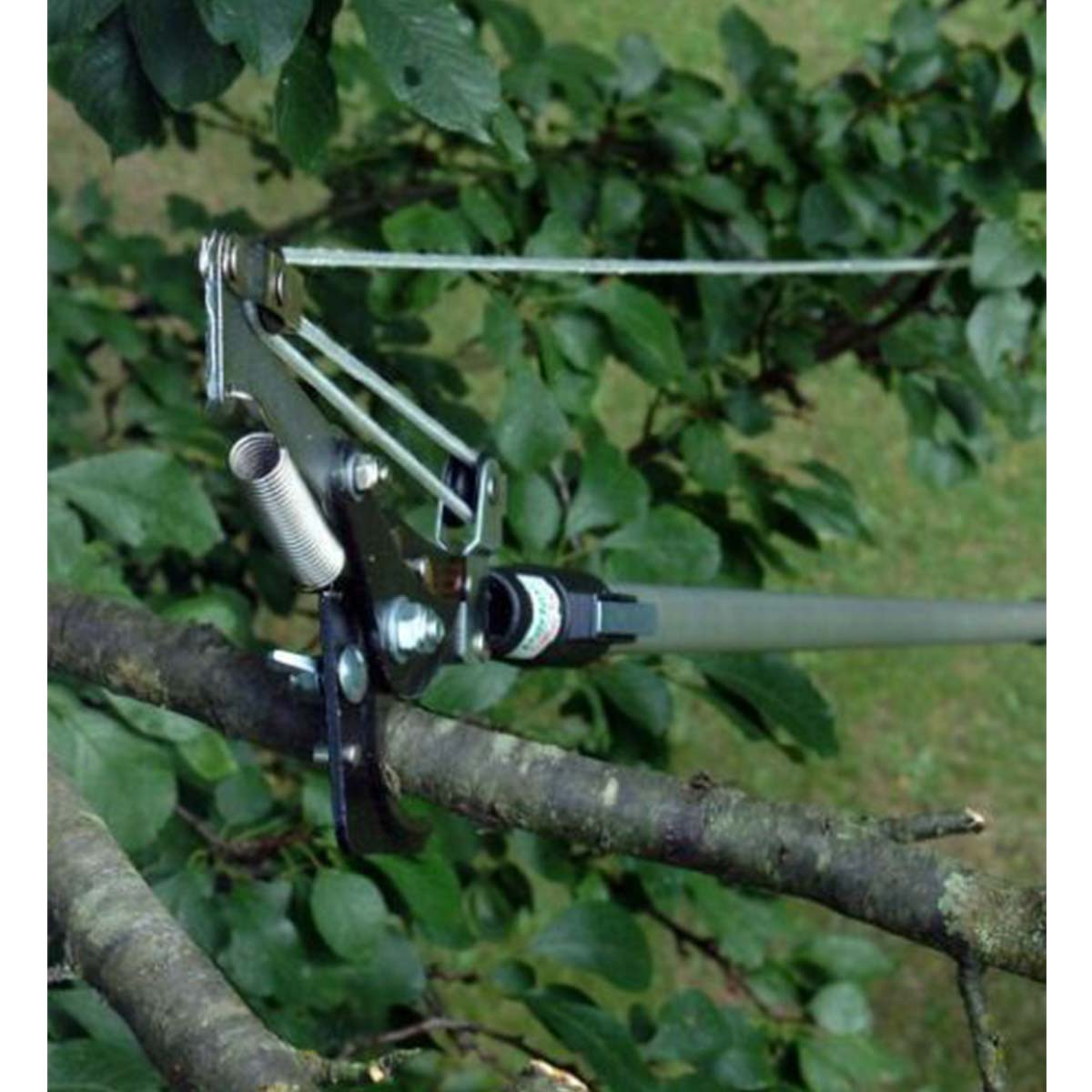 Darlac DP563 Bypass Tree Pruner Head | Charlies