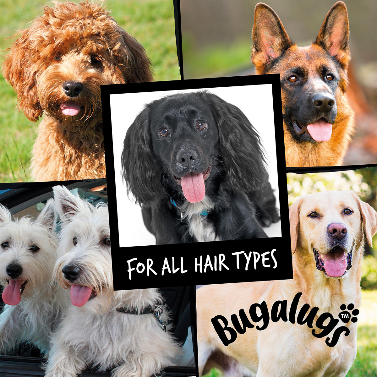 Bugalugs One In A Million Dog Shampoo - 500ml | Charlies