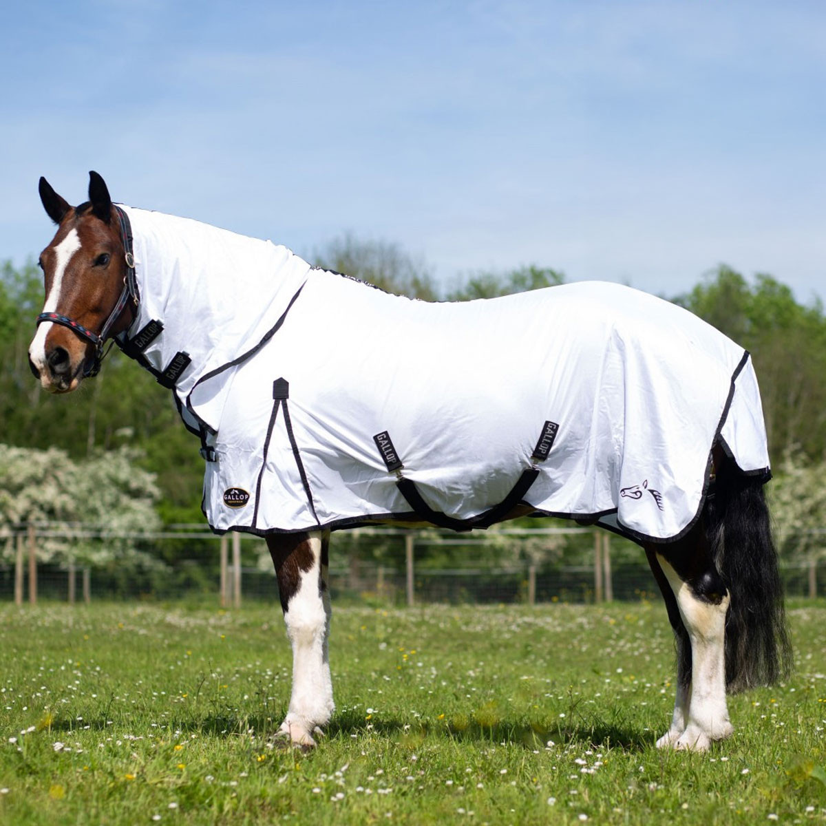 Gallop Classic Combo Fly Rug - White | Charlies