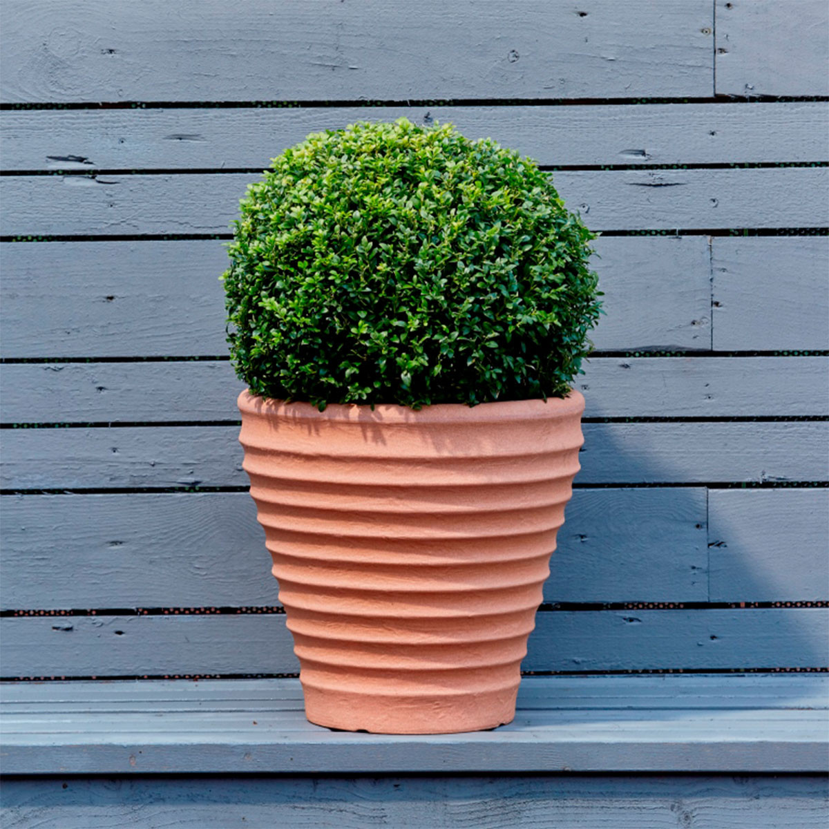 Strata Moroccan Planter, Terracotta - 43cm | Charlies
