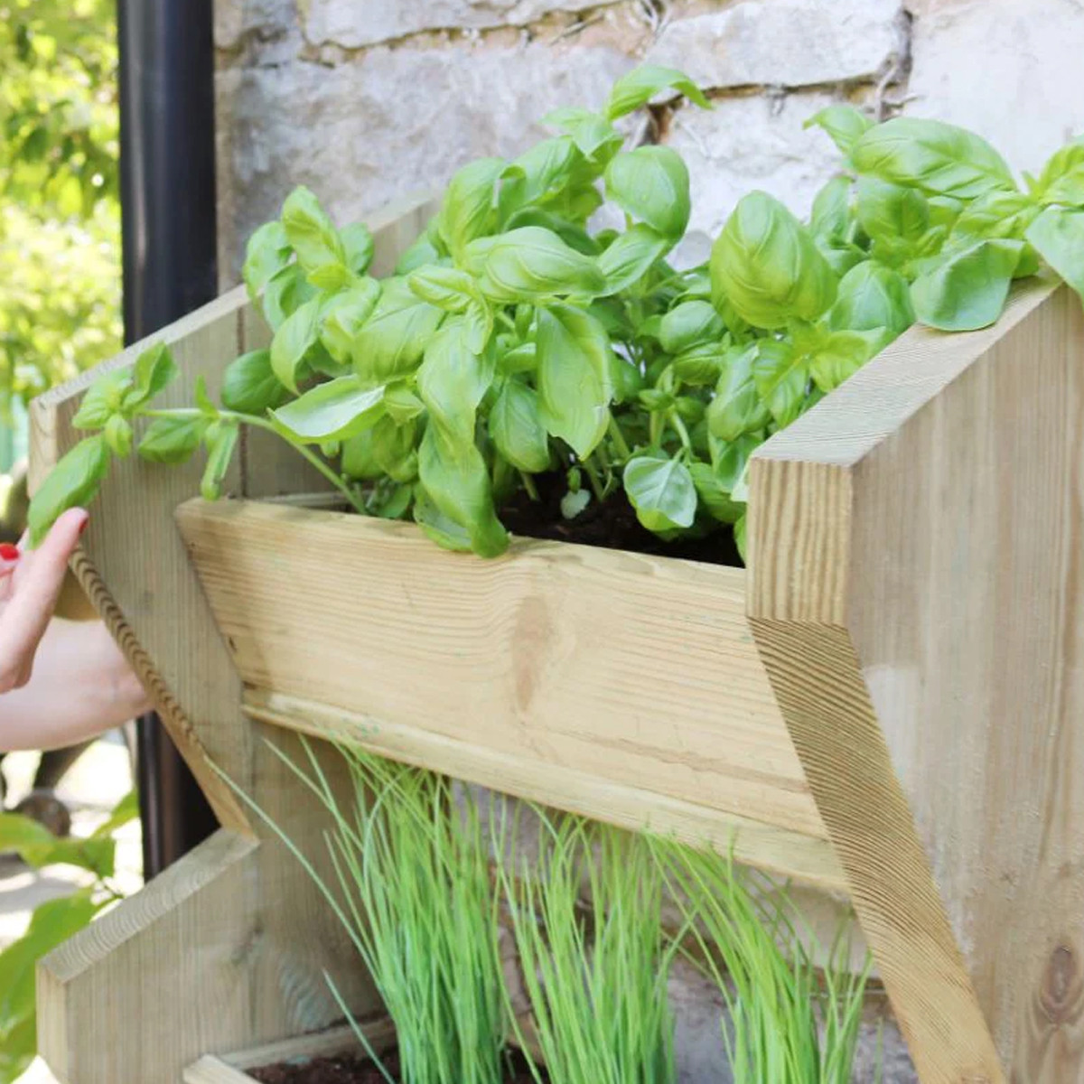 Zest Outdoor Living Tall Vertical Wooden Garden Herb Stand | Charlies