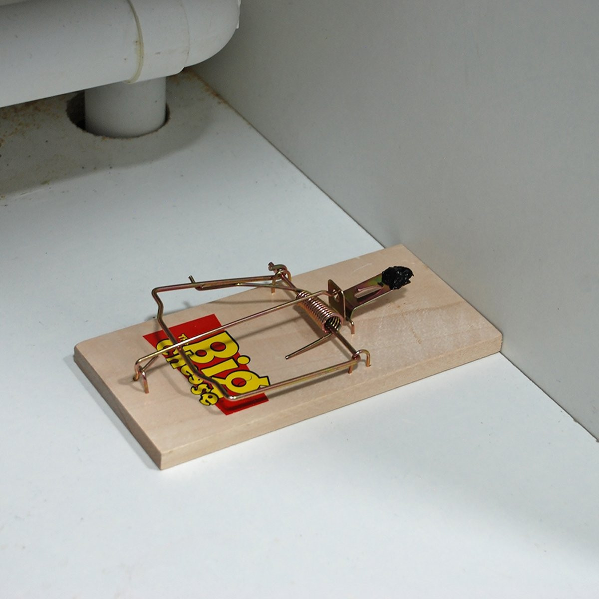 The Big Cheese Wooden Mouse Trap - 4 Pack | Charlies
