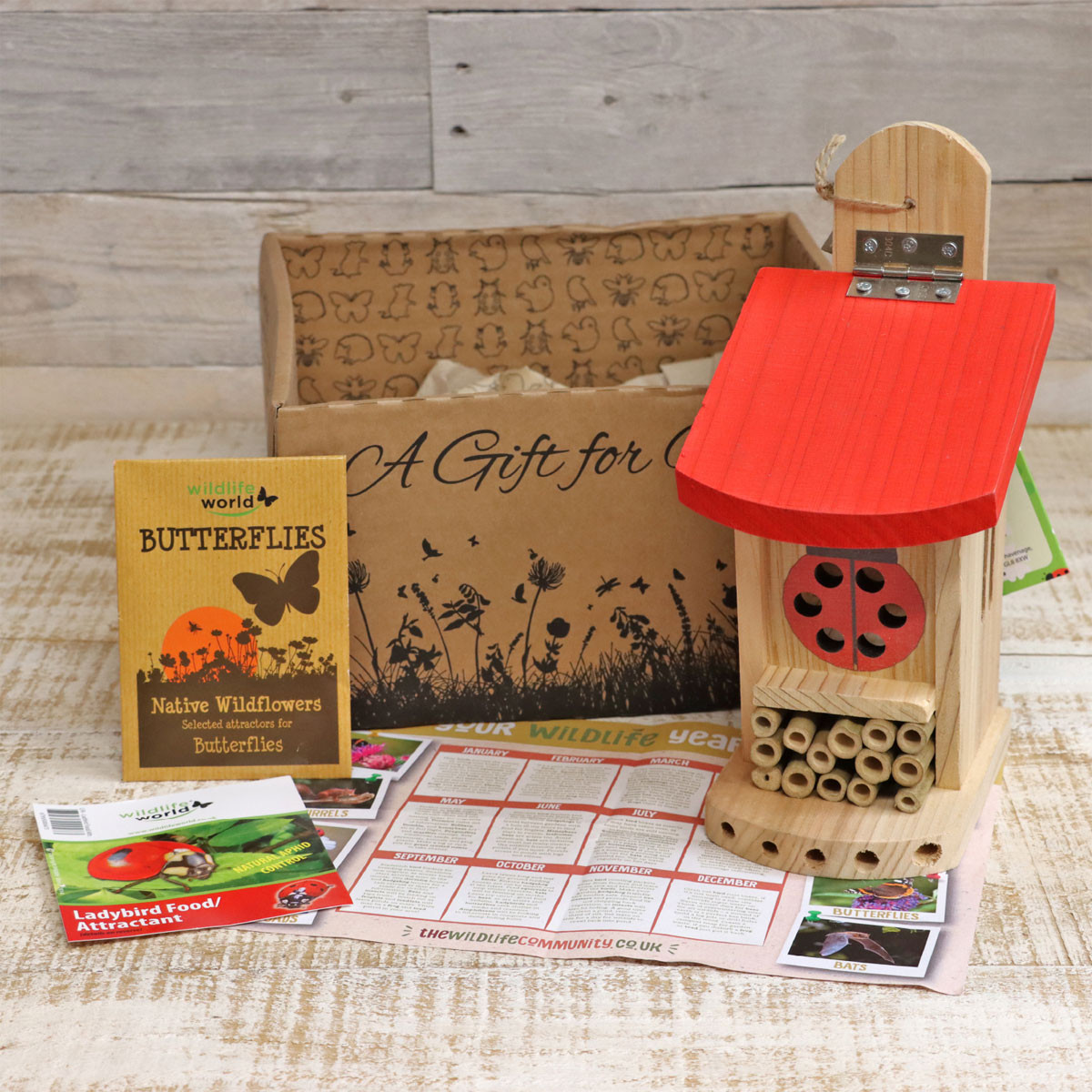 Wildlife World Ladybird & Insect Lodge Gift Box | Charlies
