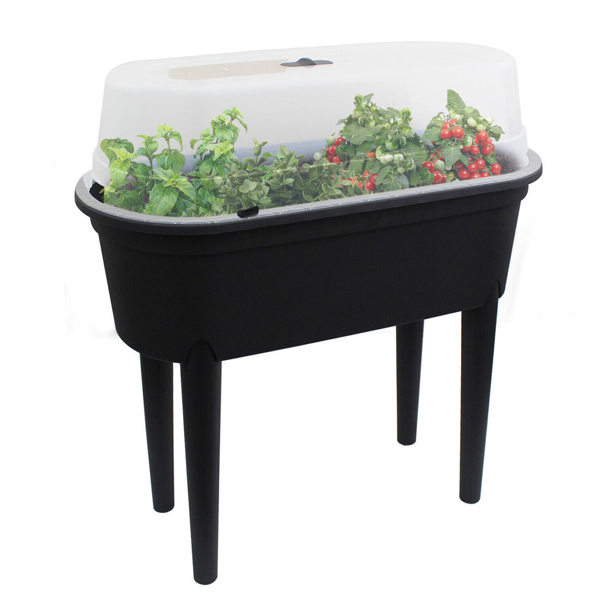 Mini Greenhouse Plant Seeding Table - Anthracite | Charlies
