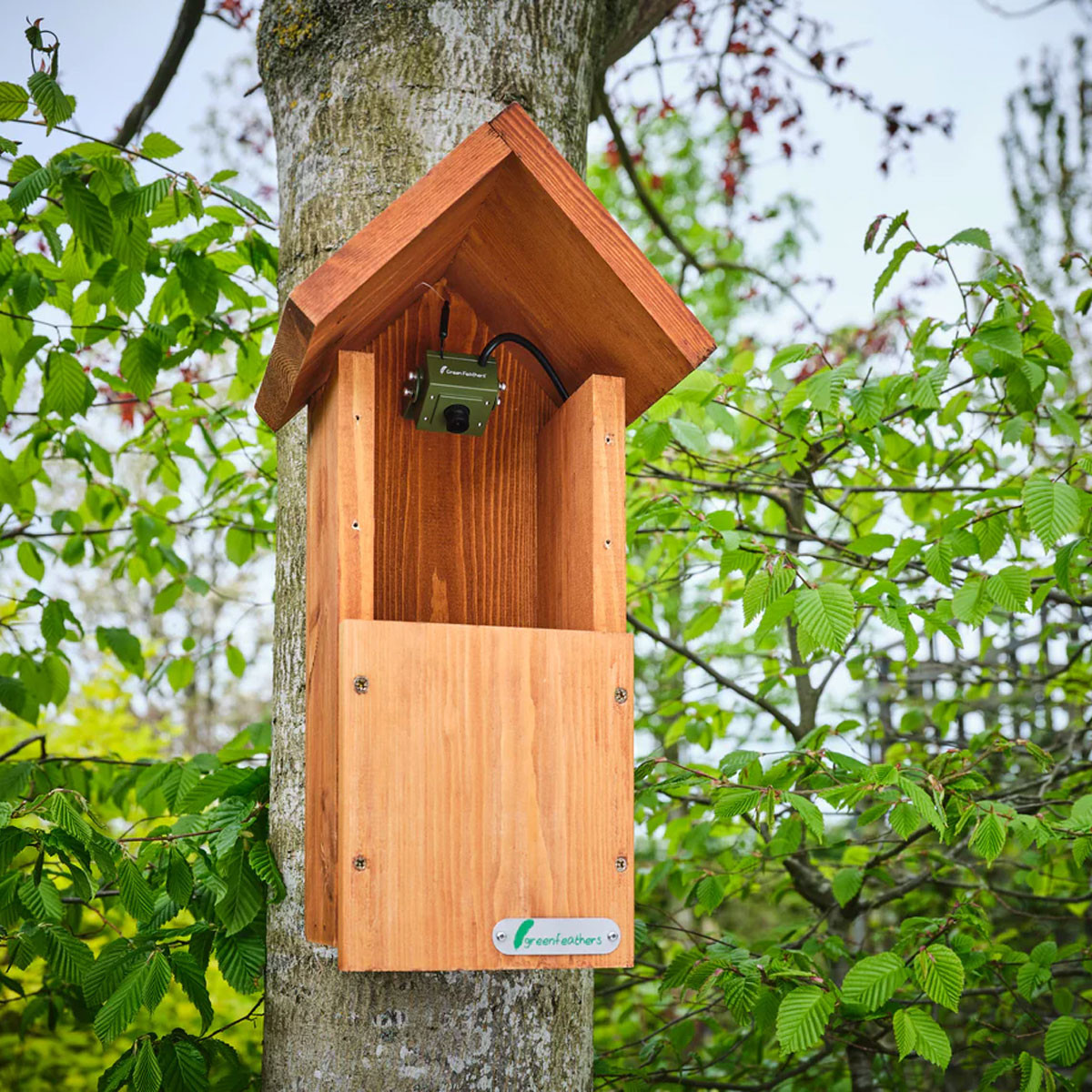 Green Feathers WiFi Bird Box HD Camera Bundle | Charlies