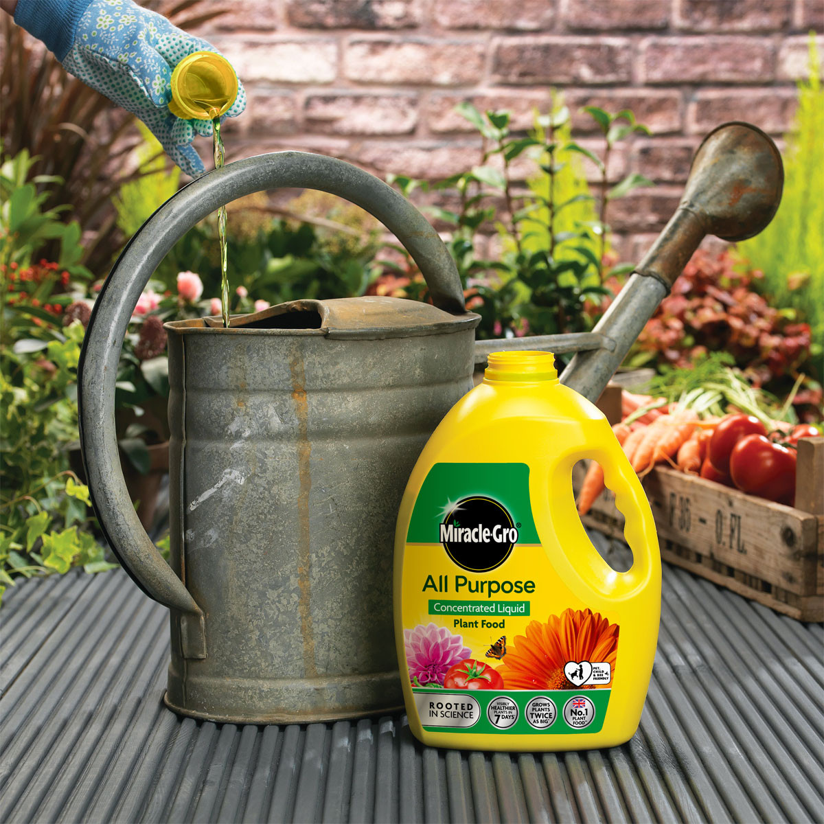 Miracle Gro Concentrated All Purpose Liquid Plant Food - 2.5L | Charlies