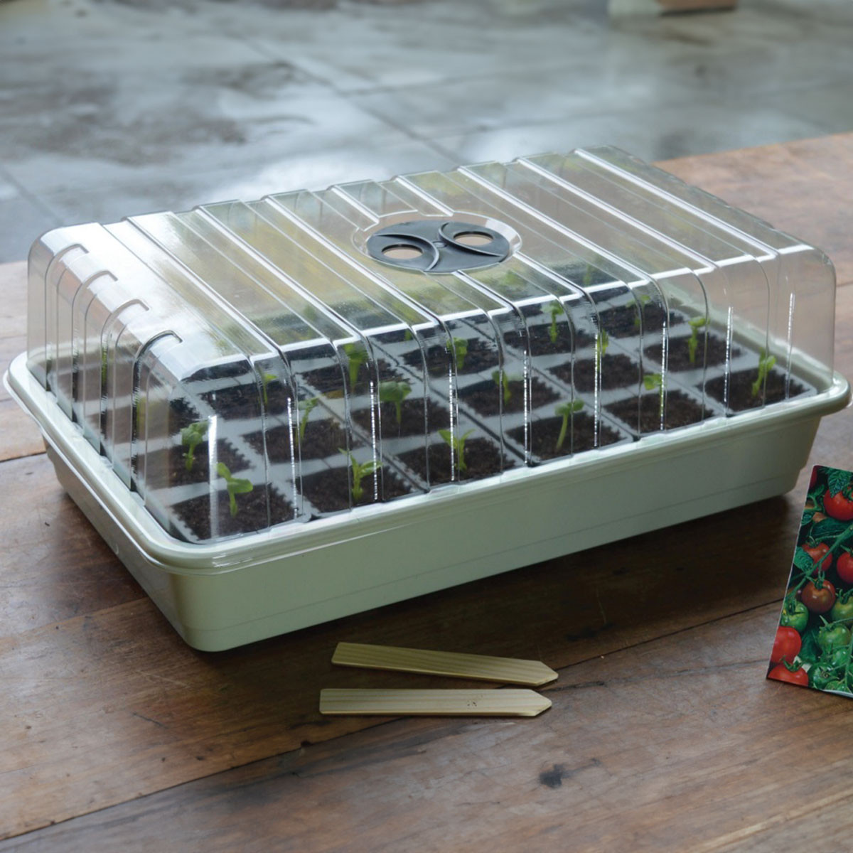 Garland 24 Cell Fast Success Kit | Charlies