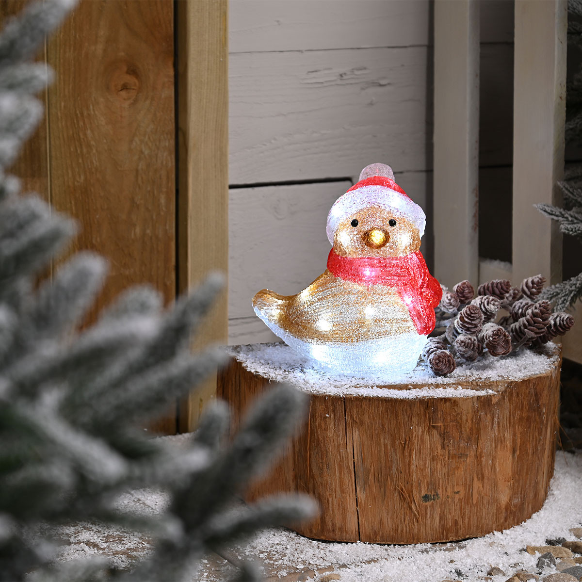 Festive Acrylic Christmas Robin LED Light Figure - 19cm | Charlies