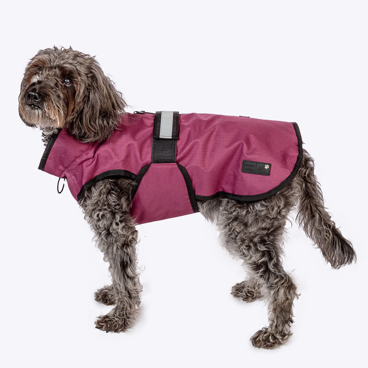 Danish Design 3-In-1 Waterproof Dog Coat - Plum | Charlies