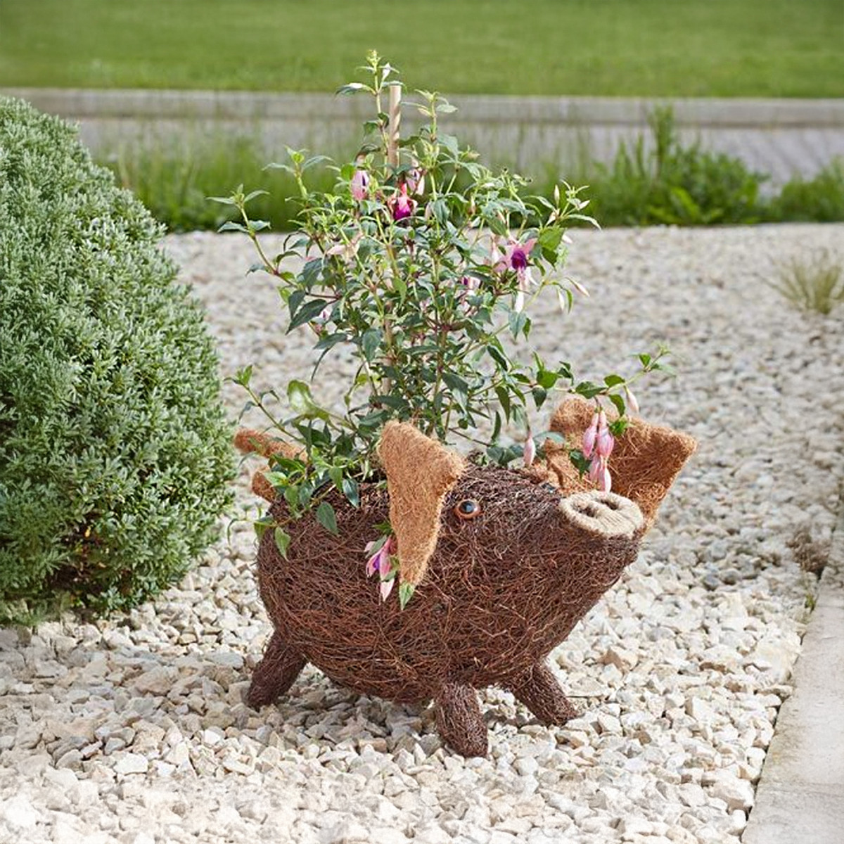 Smart Garden Funimal Porky Pig Planter | Charlies