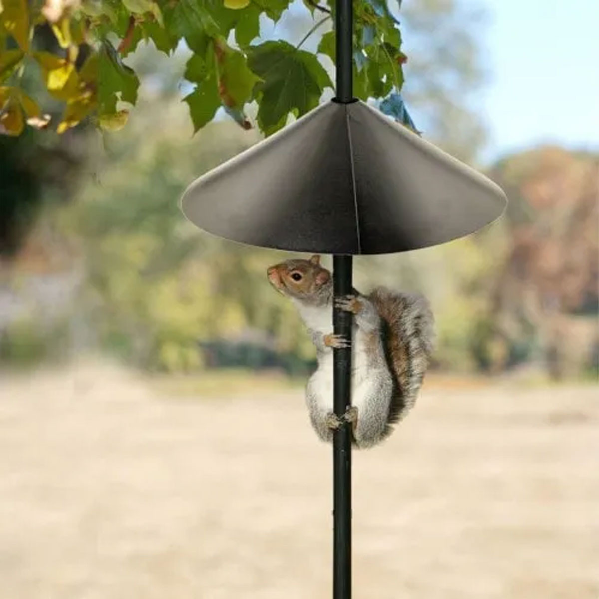 Panacea Wrap Around Steel Squirrel Baffle - 46cm | Charlies