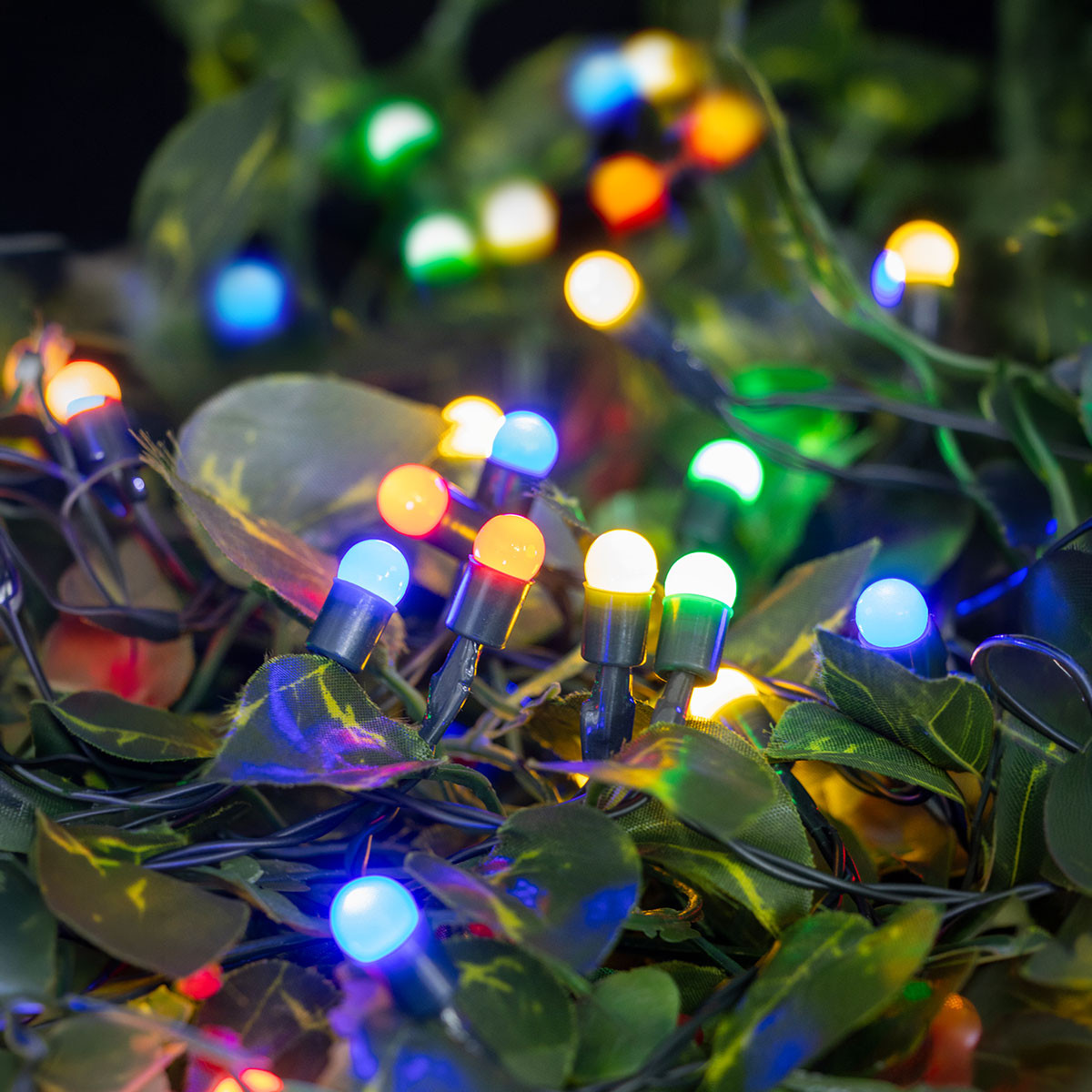 Noma 50 Fit & Forget Multi-Function Battery LED Berry Lights ...