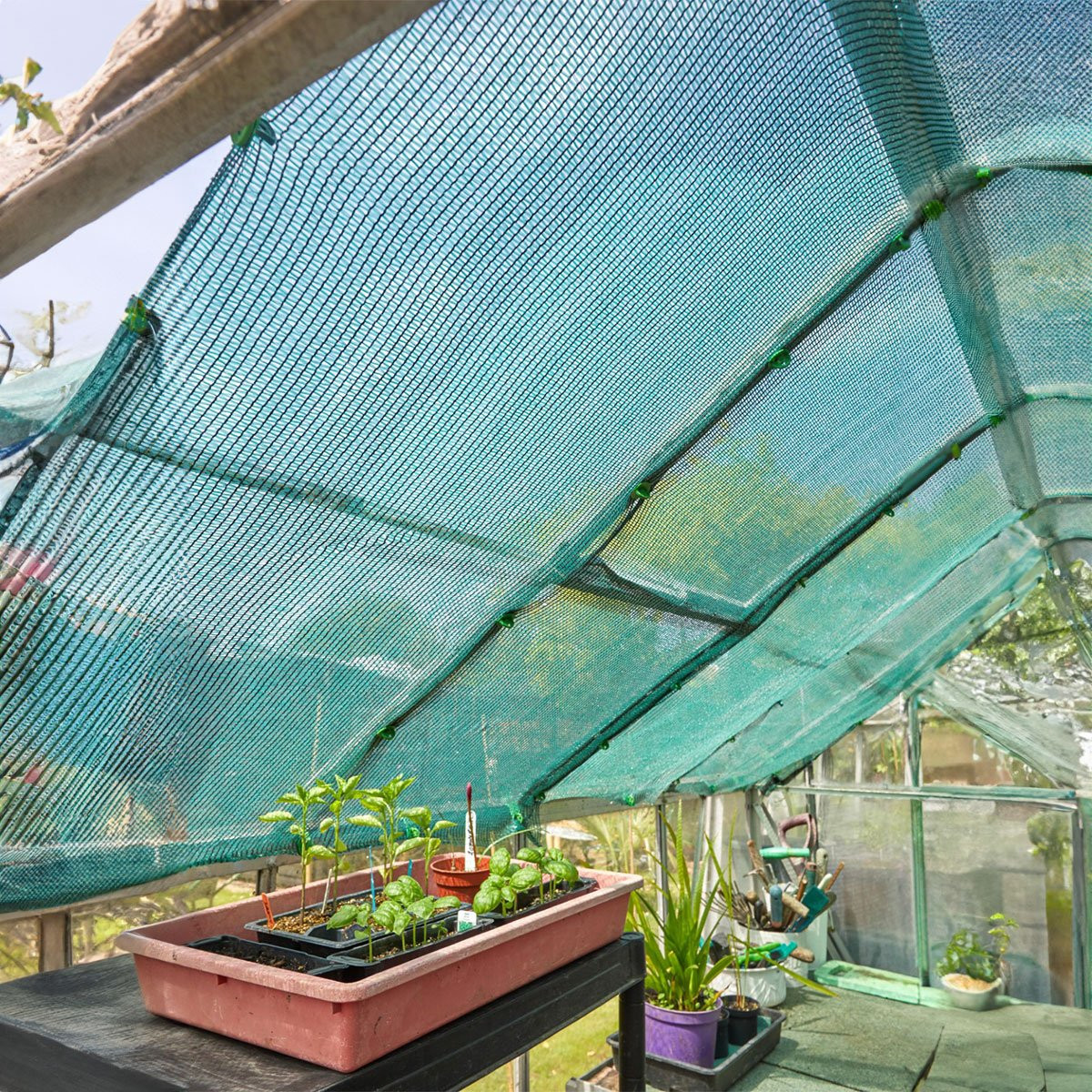 Smart Garden Mesh Shade Screen - 1.5m x 5m | Charlies