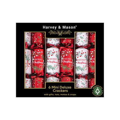 Mini Deluxe Christmas Crackers - 6 Pack | Charlies