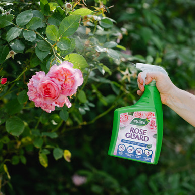 Westland Rose Guard Spray - 800ml | Charlies