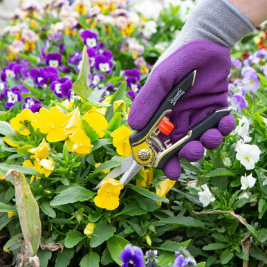 Wilkinson Sword Precision Secateurs | Charlies