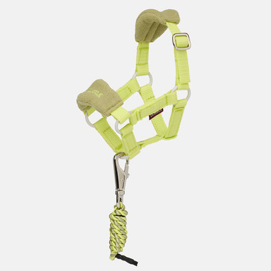 Mini LeMieux Toy Pony Headcollar - Kiwi | Charlies