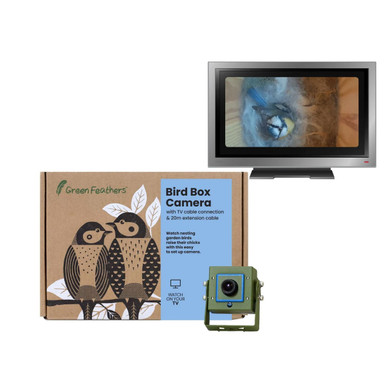 Green Feathers Bird Box Camera with TV Connection | Charlies