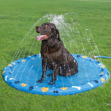 Bestway Fetchin' Fun Pet Splash Pad | Charlies
