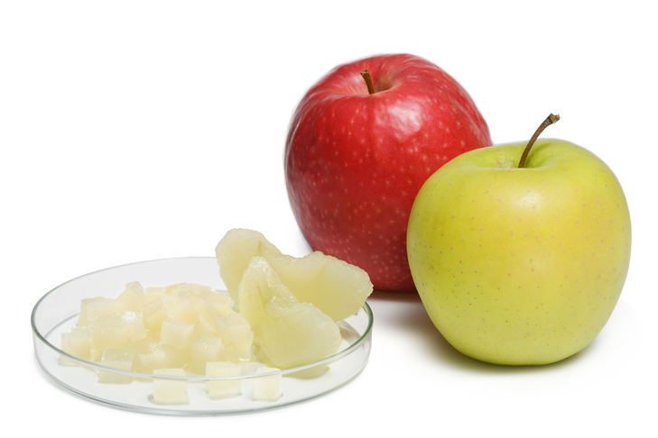 Sliced Solid Pack Apples 5kg | Regency Foods