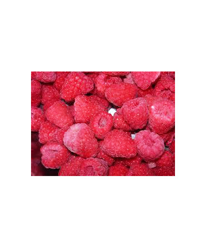 Frozen Raspberries 1kg | Regency Foods Wholesaler