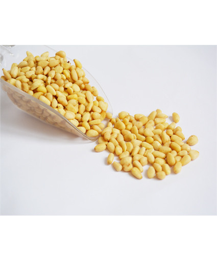 Pine Nut Kernels 1Kg | Regency Foods Wholesaler