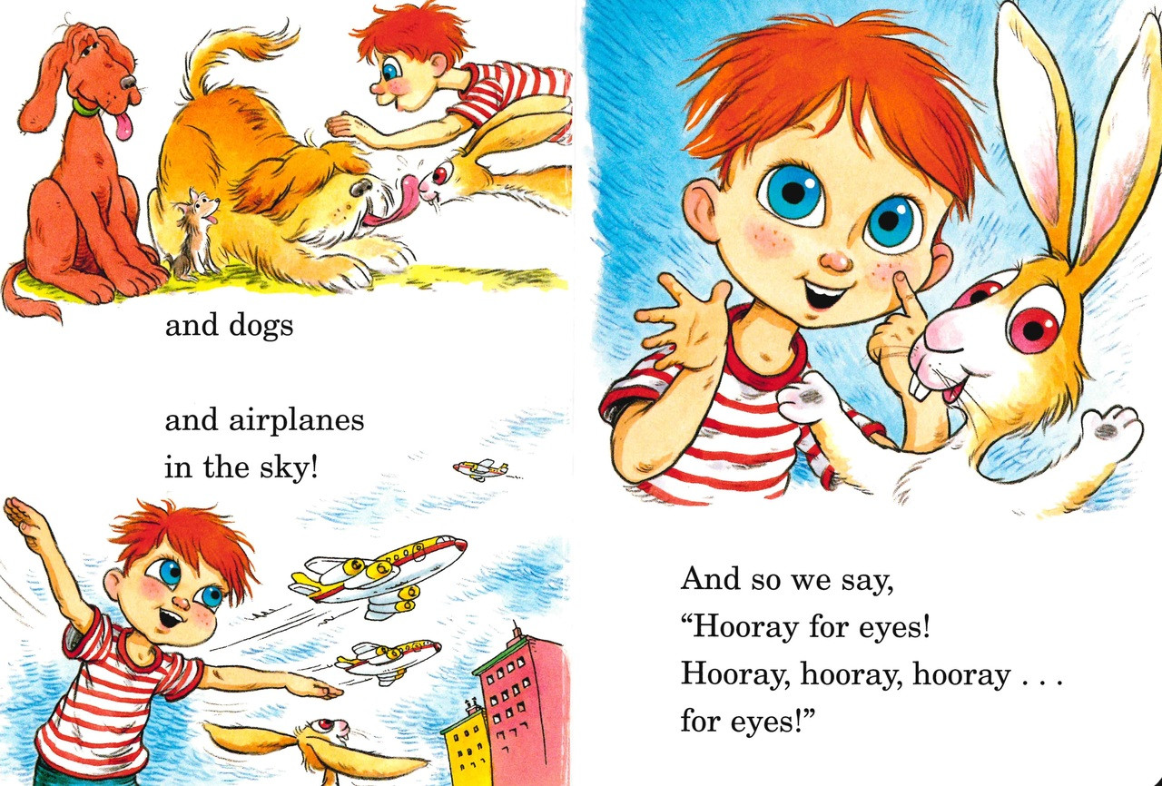 The Eye Book: Dr. Seuss (Board Book) - Books By The Bushel