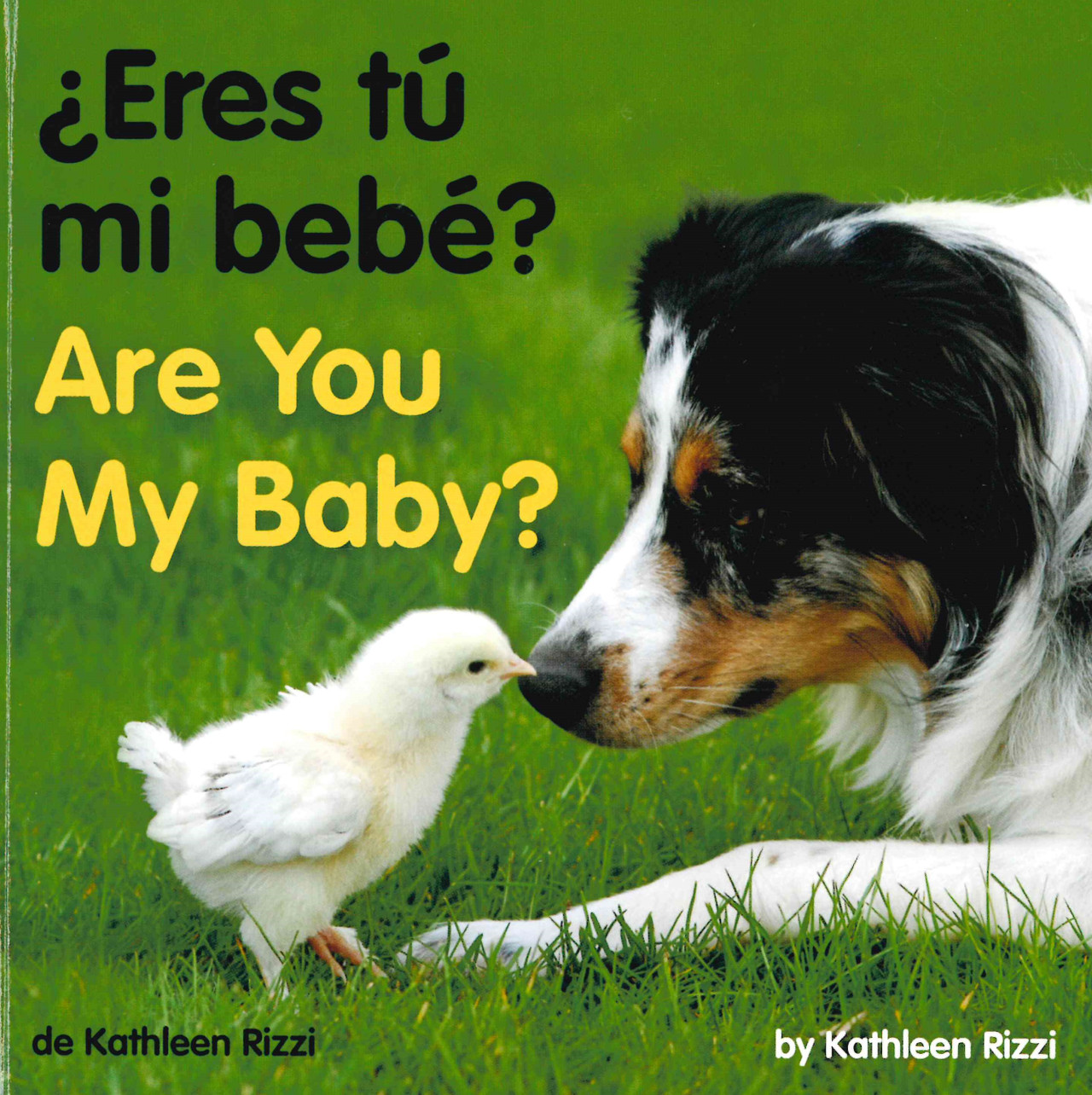 Are You my Baby? ( Portuguese/English) (Board Book) - Books By The Bushel