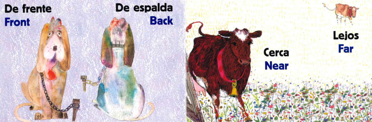 Opposites (Spanish/English) (Board Book) - Books By The Bushel